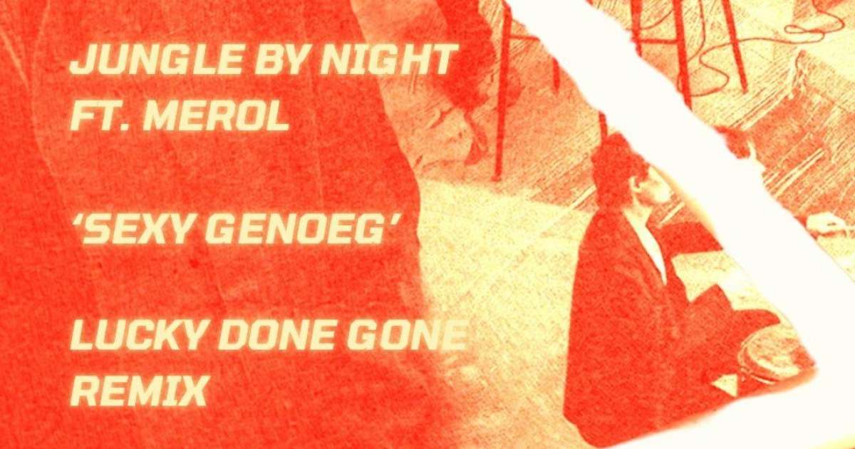 Lucky Done Gone drops a remix of Jungle by Night’s ‘Sexy Genoeg ...